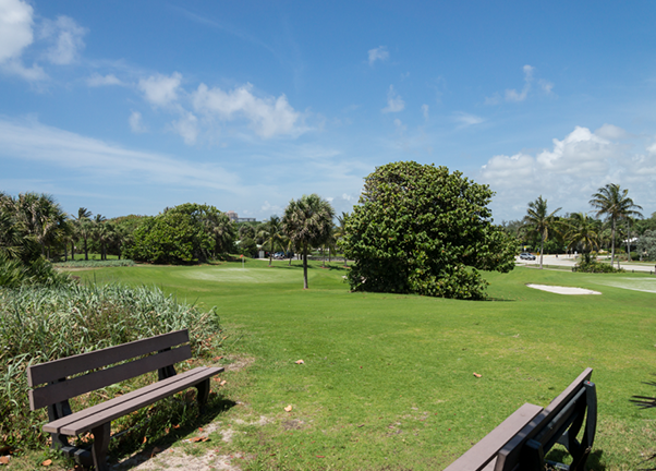 Greater Boca Raton Beach Park and District | Home